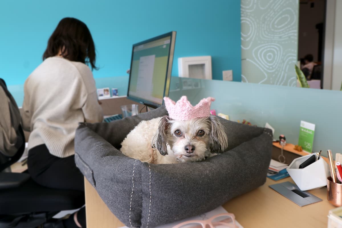 Inspiration Index 11-17-20 | Delve