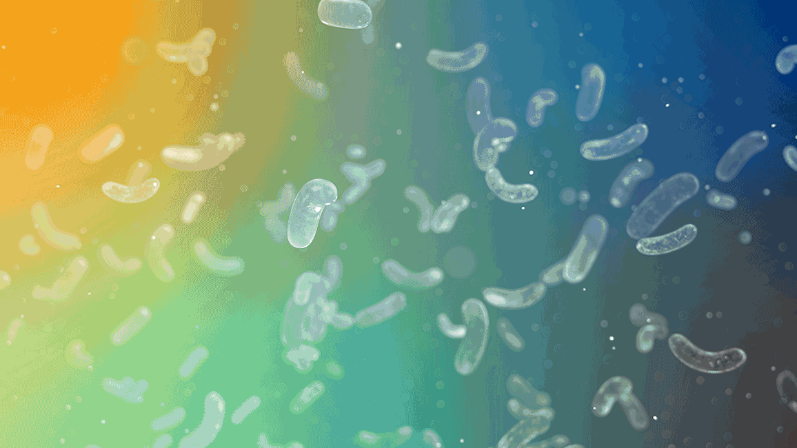 Design for Sterilization of Medical Electronics | Delve