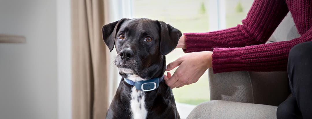 Delve Product Design and Development | Bring Bold Ideas to… | Delve