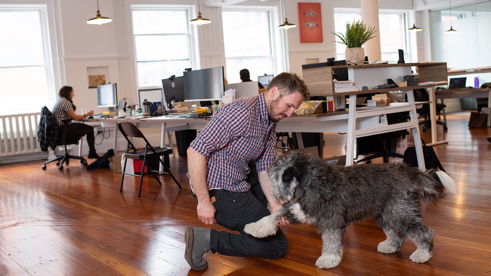 Work at Delve: Product Development Specialist Careers | Delve